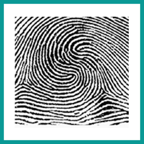 What Is a Fingerprint? Definition, Types, Trends (2024)
